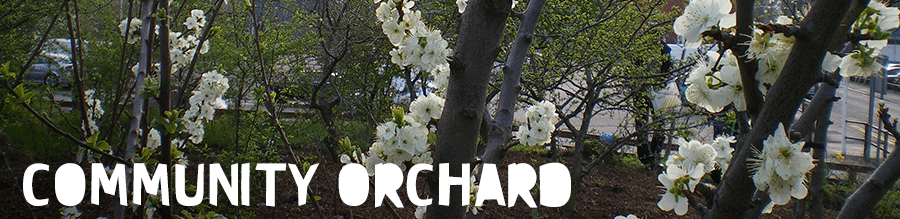 Community Orchard – Nursery Row Park